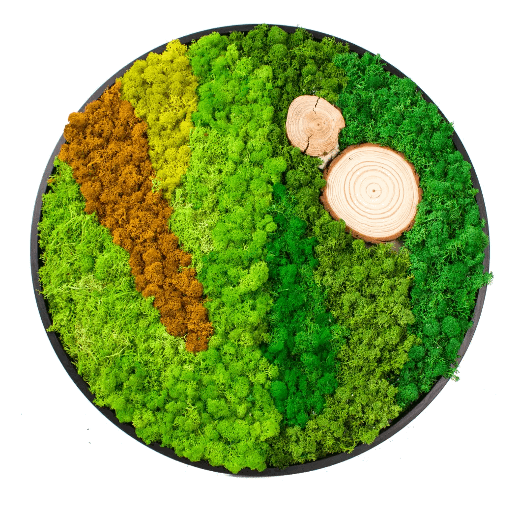 Jade Cascade Preserved Moss Wall Art | Nityavan