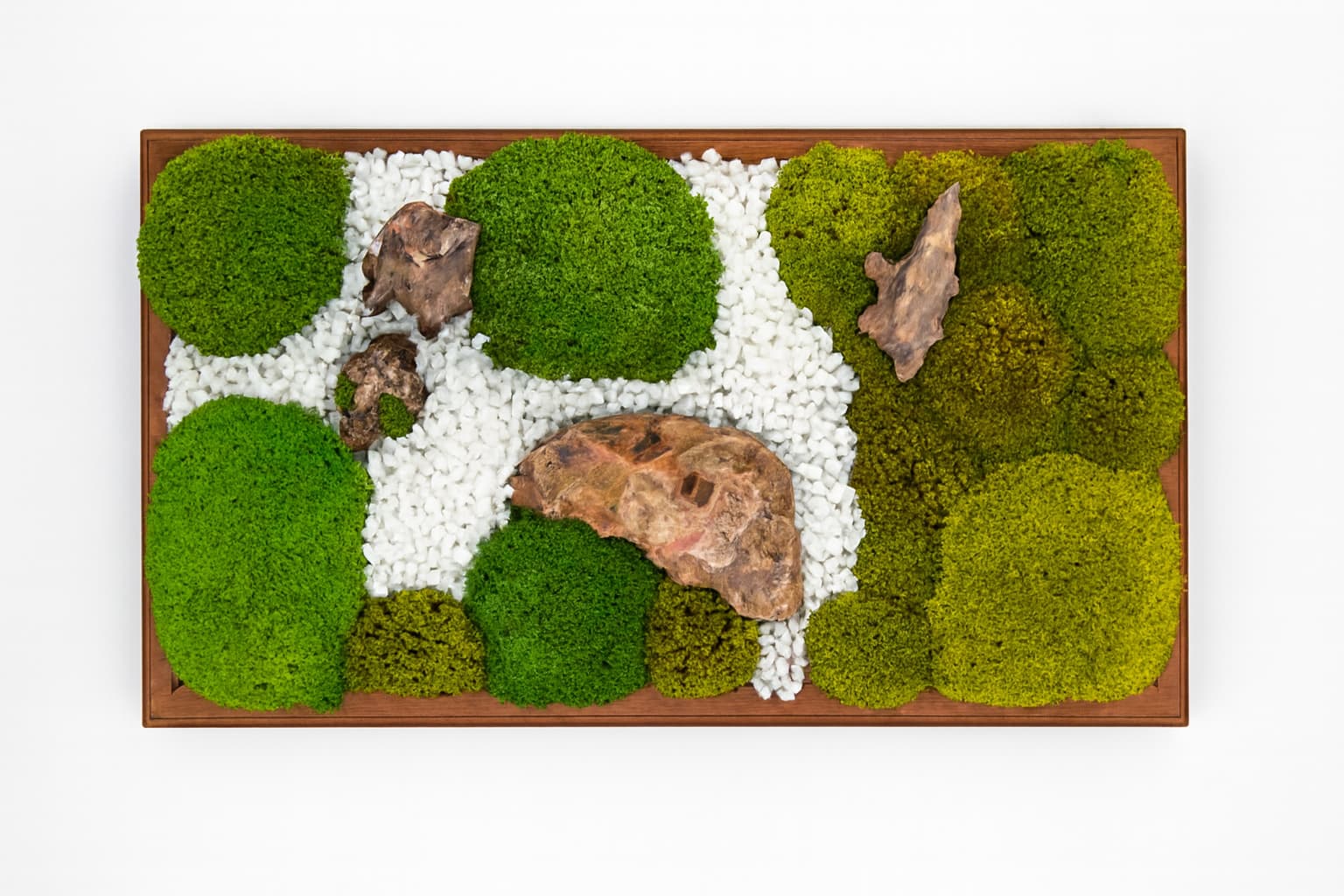 Miniature Moss Portrait Preserved Moss Art | Nityavan